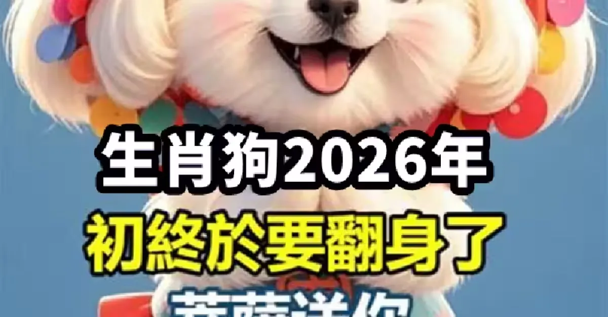 生肖狗：2026年初終於要翻身了！菩薩送你「八大福」接住好運一整年